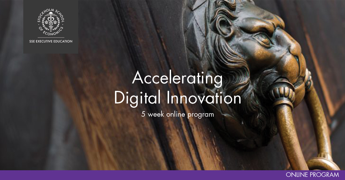 Accelerating Digital Innovation